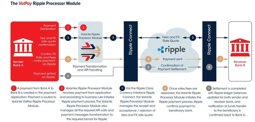 Shared post - The VolPay Ripple Processor Module