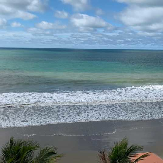 Shared post - 🧟‍♀️(gett'em while they're hot, 'new old ...