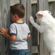 Shared post - EQUITY vs. EQUALITY - Thomas Sowell