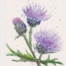 Shared post - The Simpson always know lol!