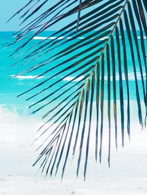 Sun Sand Water and The TRUTH