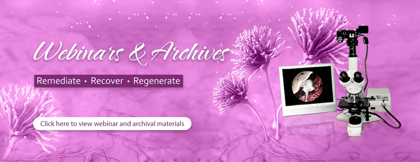 Shared post - Mold Journey