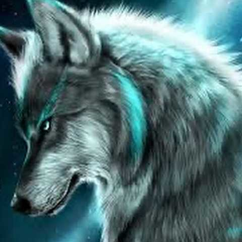 Shared post - If a woman can answer the following question.... "Does ...