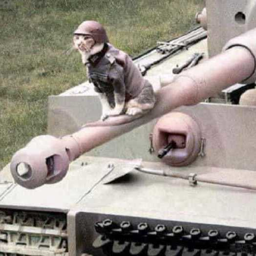 Shared post - Jared Fogle C/O Subway