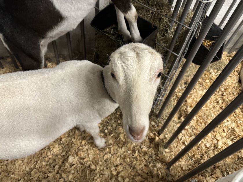 Shared post - Trailer for my Solo Show