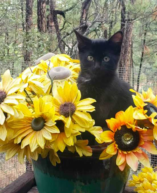 Shared post - Brian Cole Jr. Update