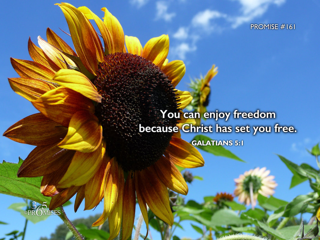 Shared post - SUBSCRIBER EXCLUSIVE BACKSTAGE ACCESS// MORNING JOE ...