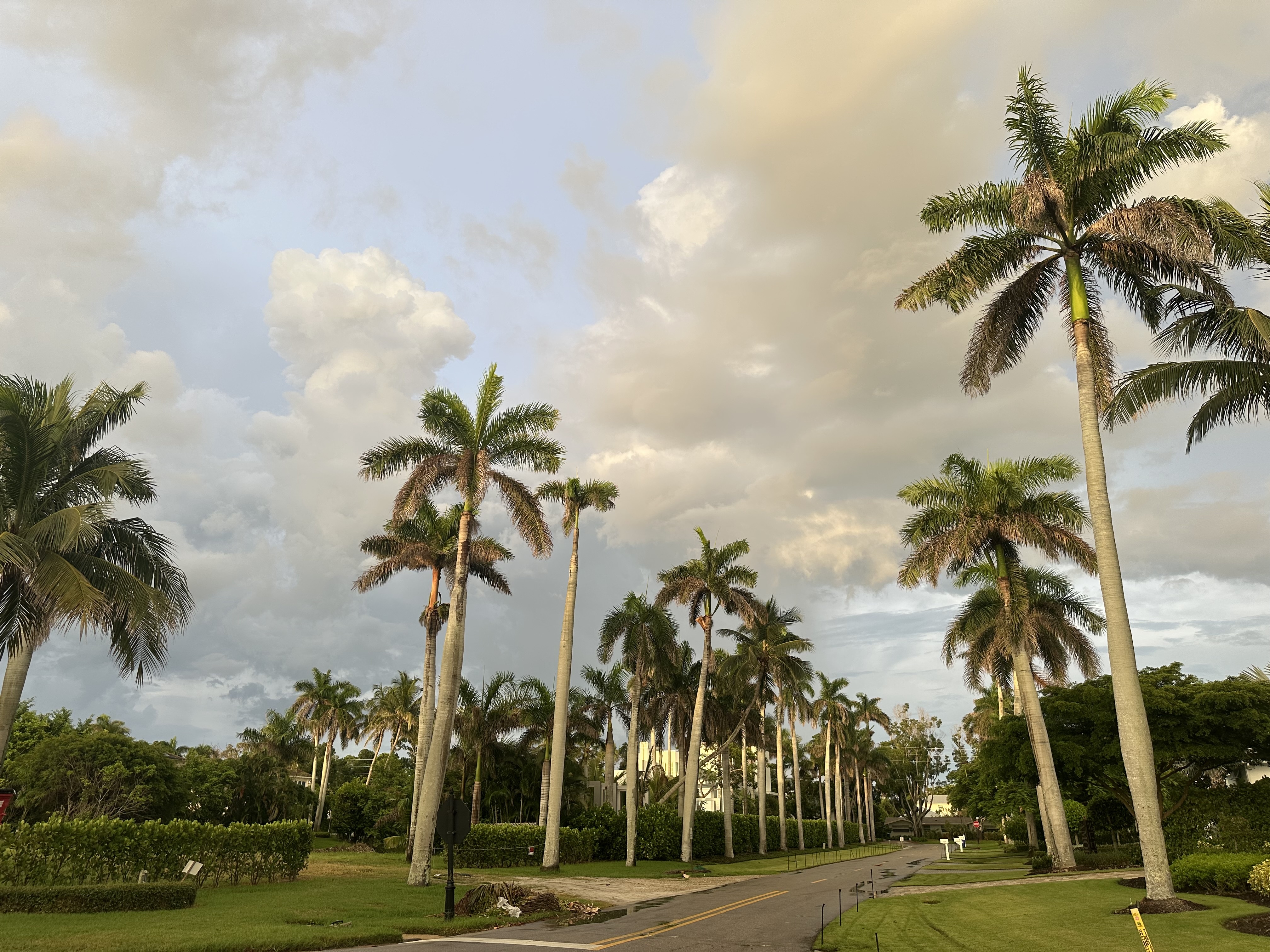 Shared post - The 4B Movement: How Trump is Saving the World from ...