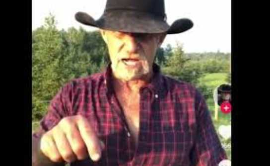 Shared post - Truth 💣 against the WEF