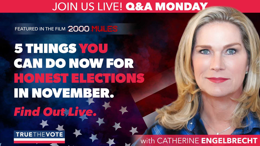 Shared post - 5 Things You Can Do Now for an Honest Election in November