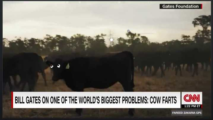 Shared post - Bill Gates Tells CNN to Blame Cow Farts For Climate ...