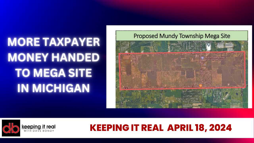 Shared post - Keeping it Real Show: More taxpayer dollars to Michigan ...