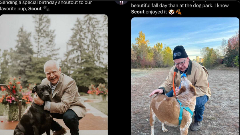 Shared post - Tim's Fake Dog? RFK Jr. Hits the Trail; Debate Mic Battle