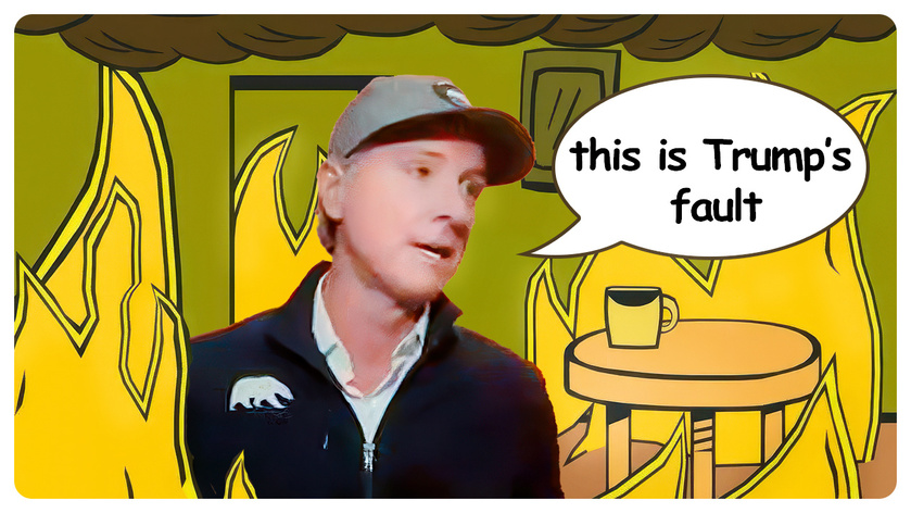 Shared post - California is Burning Because of DEI & Bad Policy! Trump ...