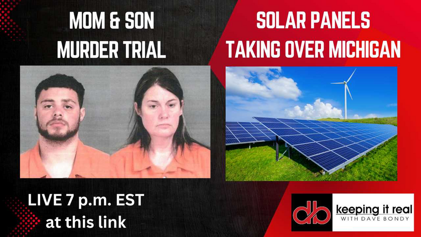 Shared post - Solar Panels taking over Michigan and mom and son murder ...