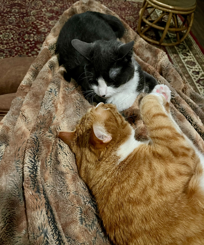 Shared post - Episode 2763 CWSA 02/27/25