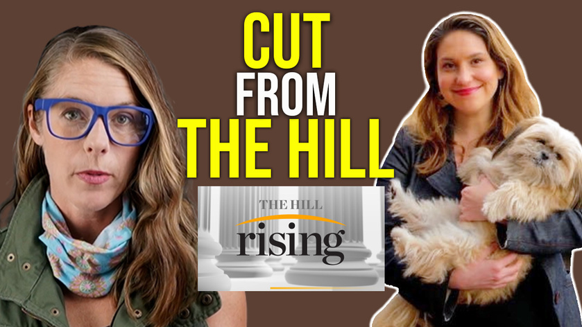Shared post - Katie Halper on why The Hill cut her from "Rising ...