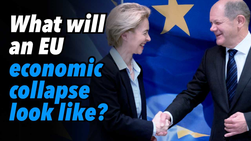 Shared post - What will an EU economic collapse look like?
