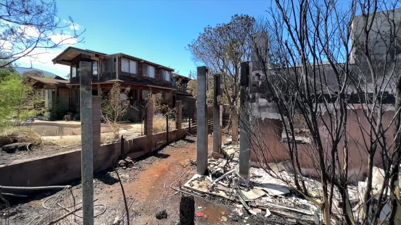 Shared post - On the ground on Maui: Archie Kalepa speaks about the ...