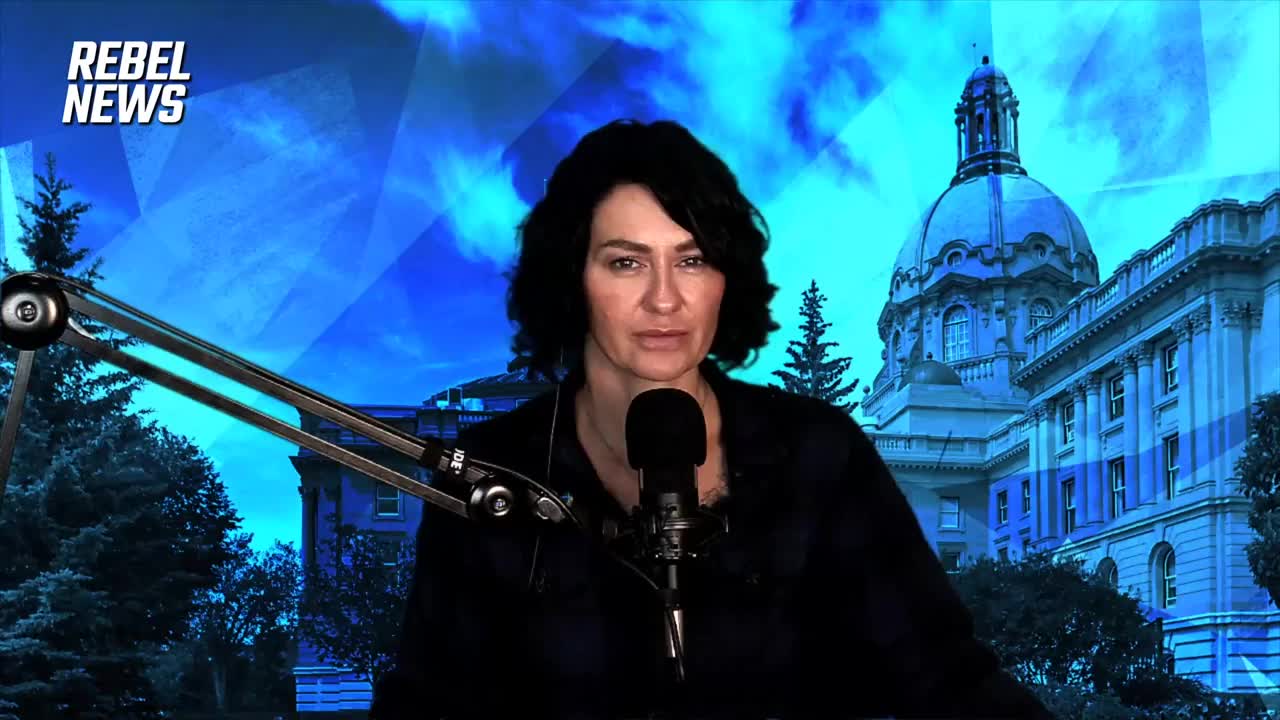 Shared post - THE GUNN SHOW | Alberta's gas price advantage: Shouldn't ...