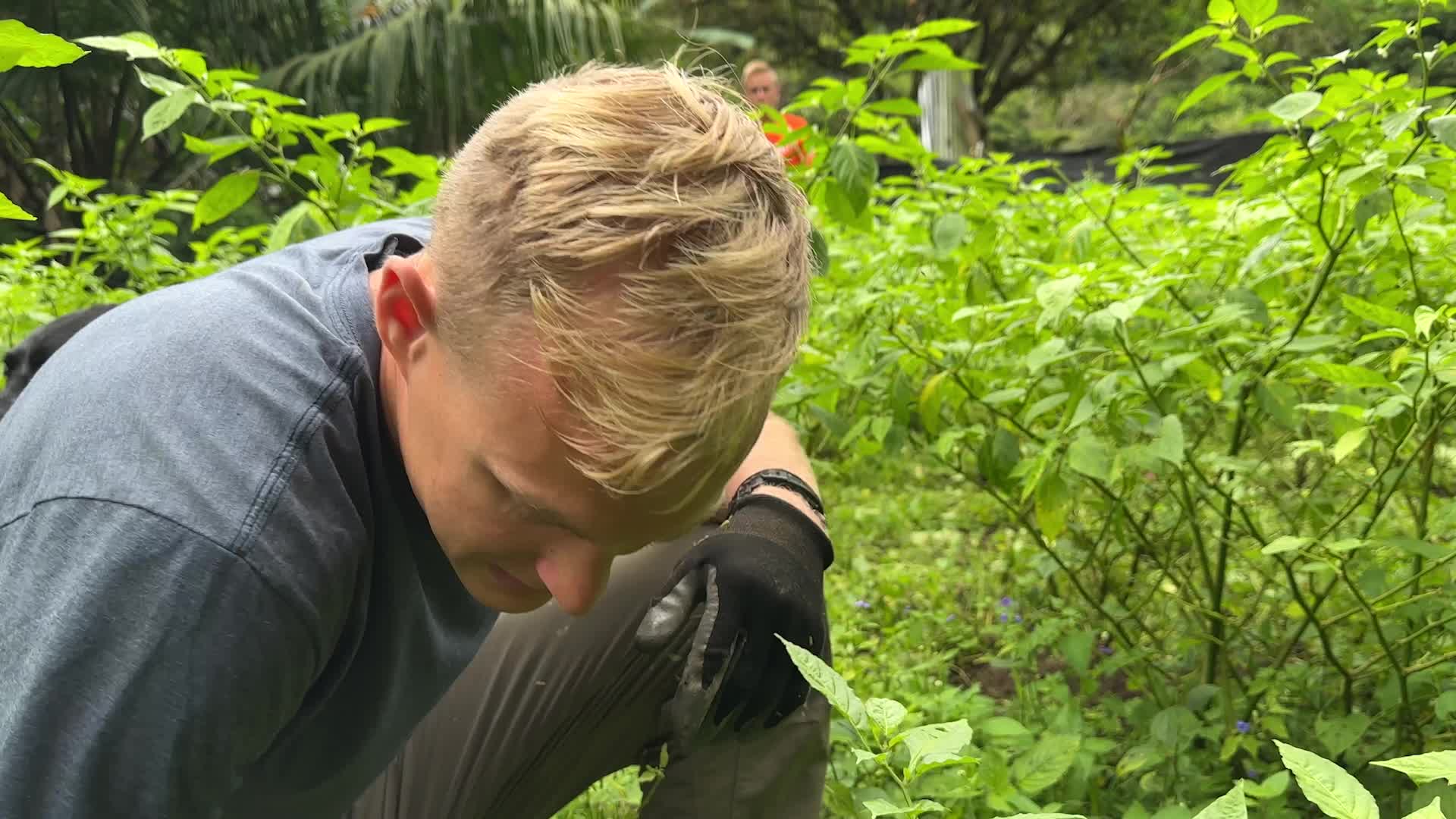 Shared post - Interview with ALERT man in Panama