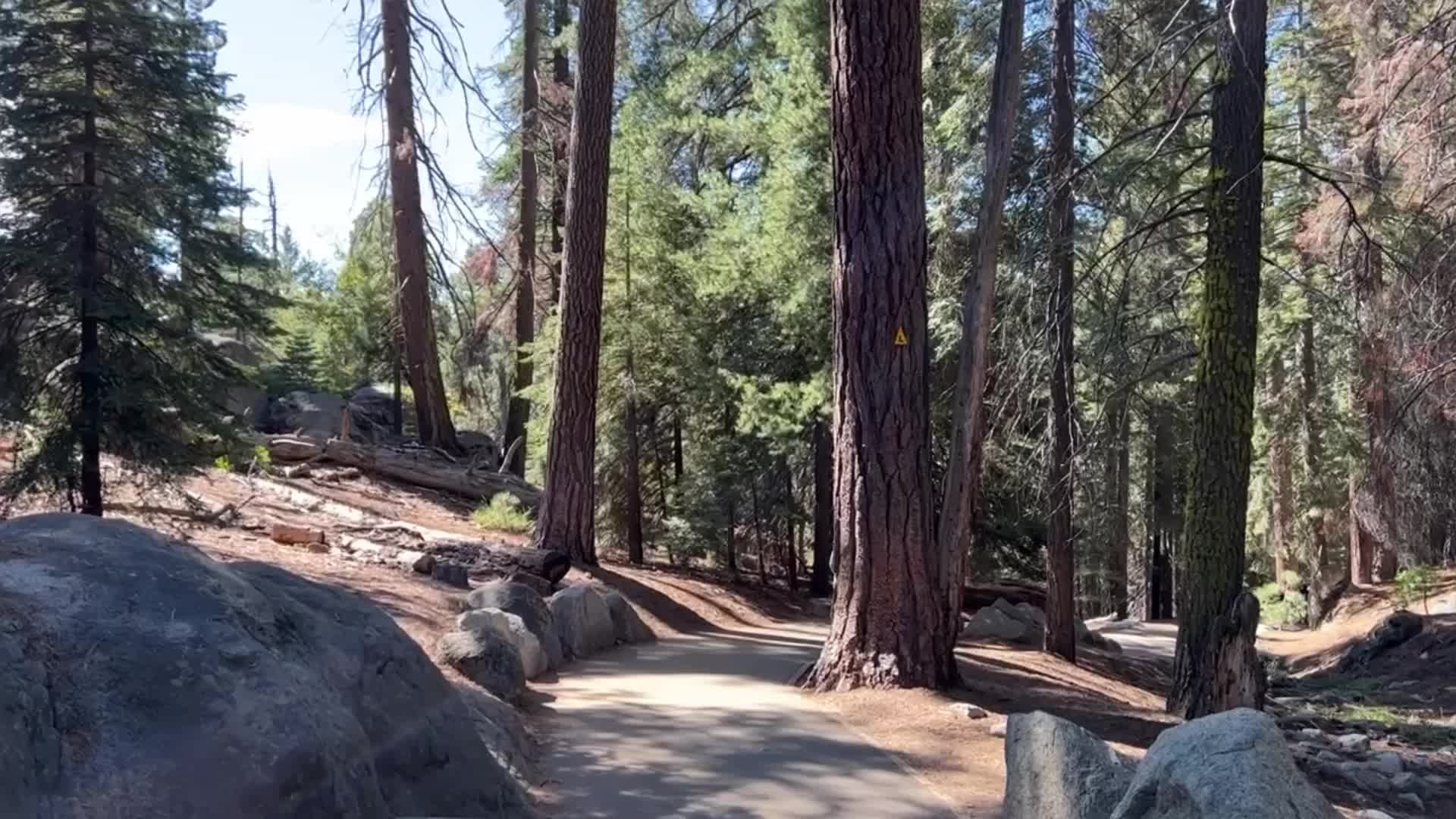 Shared post - Walk with and talk with Richard among Giants