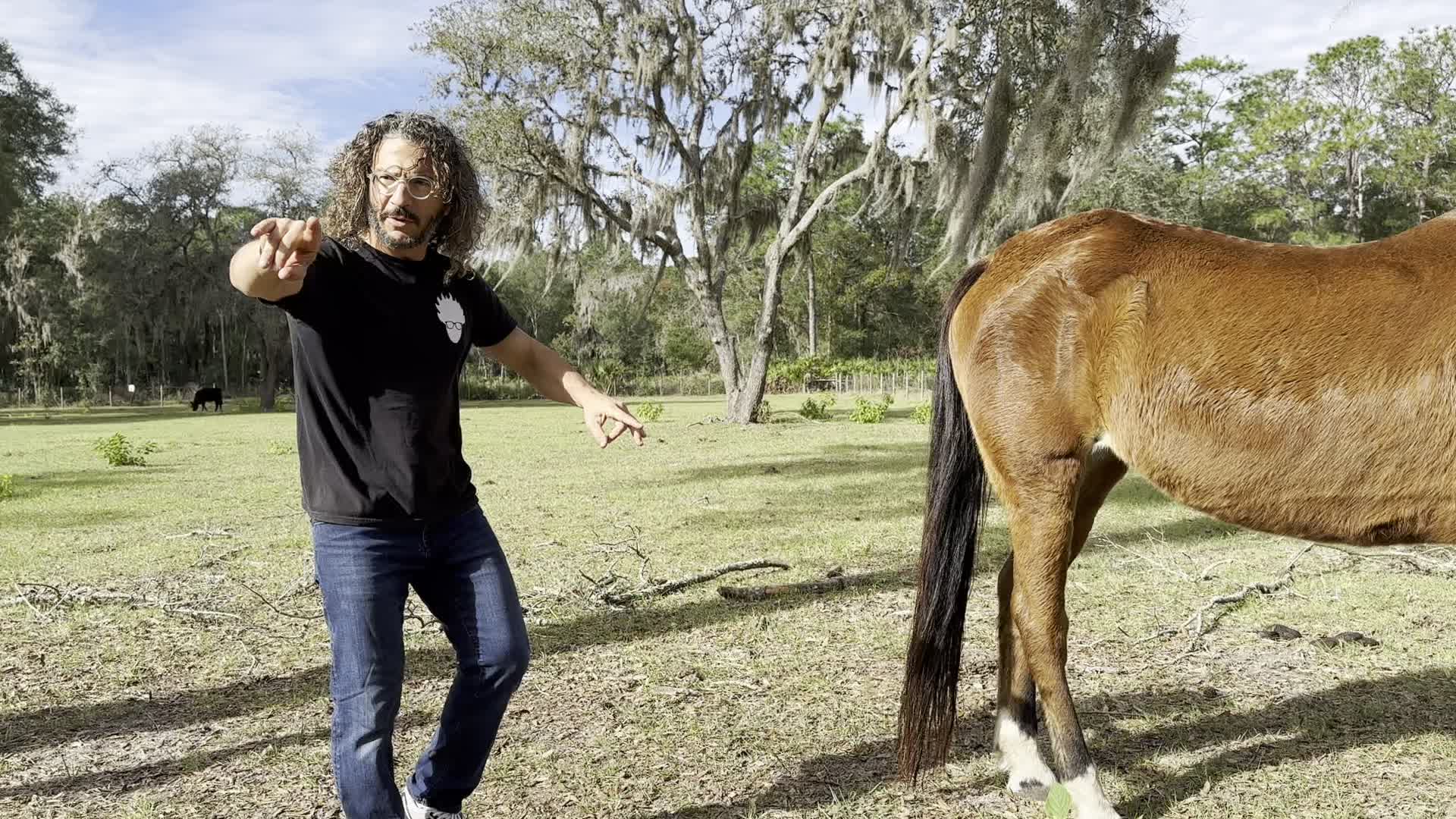 Shared post - Florida man