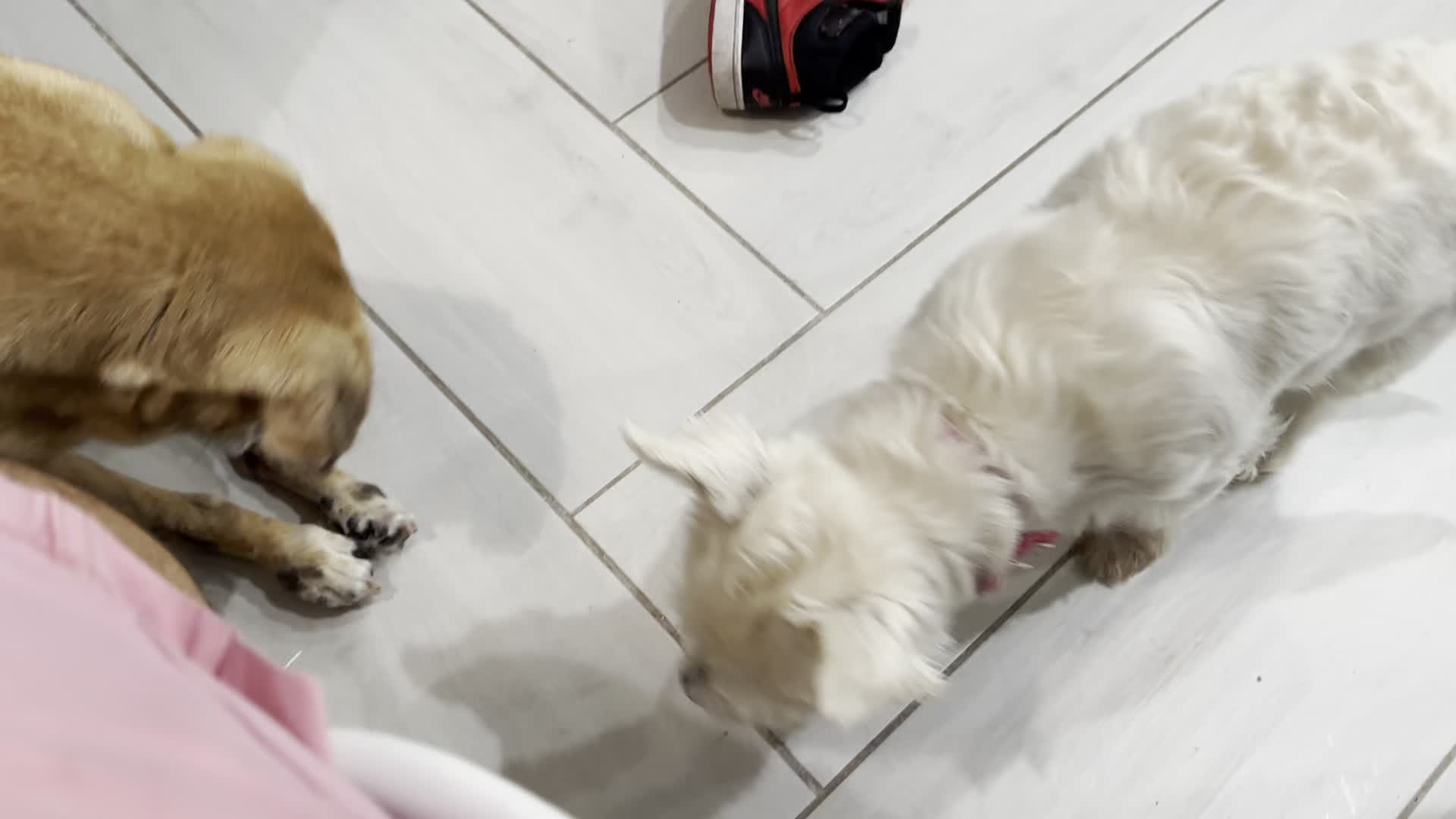 Shared post - Cinematic paralysis