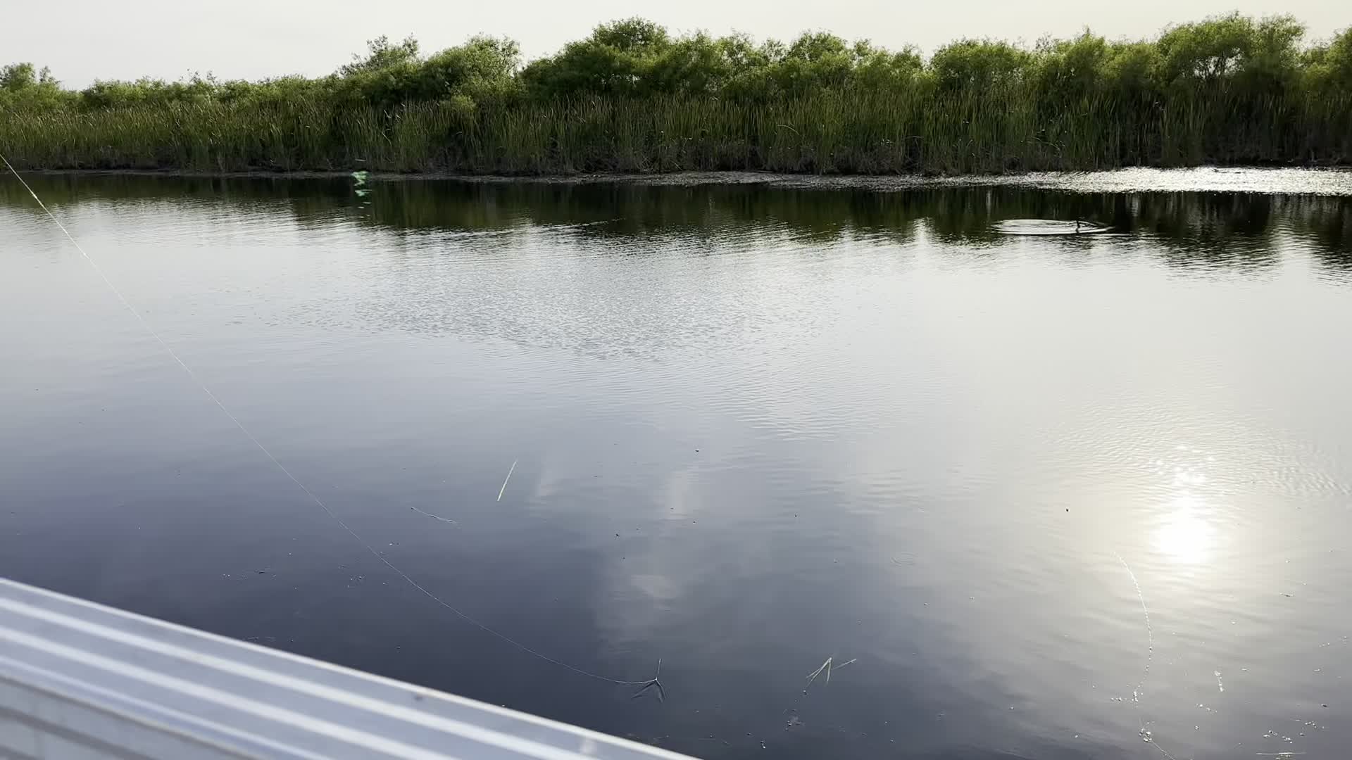 Shared post - Check this out!