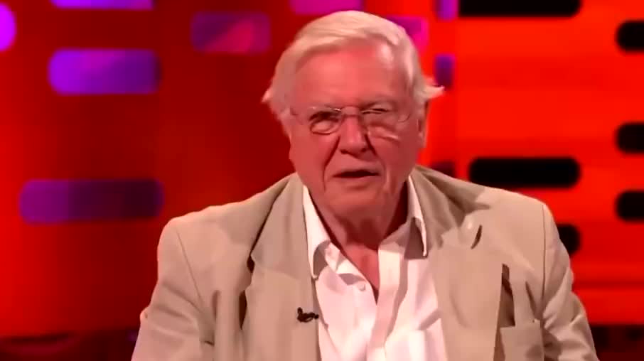 Eric Hunley and Mark Groubert