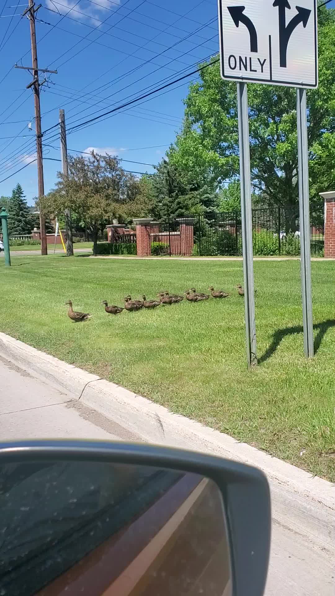 Shared post - Timeline Cleanse