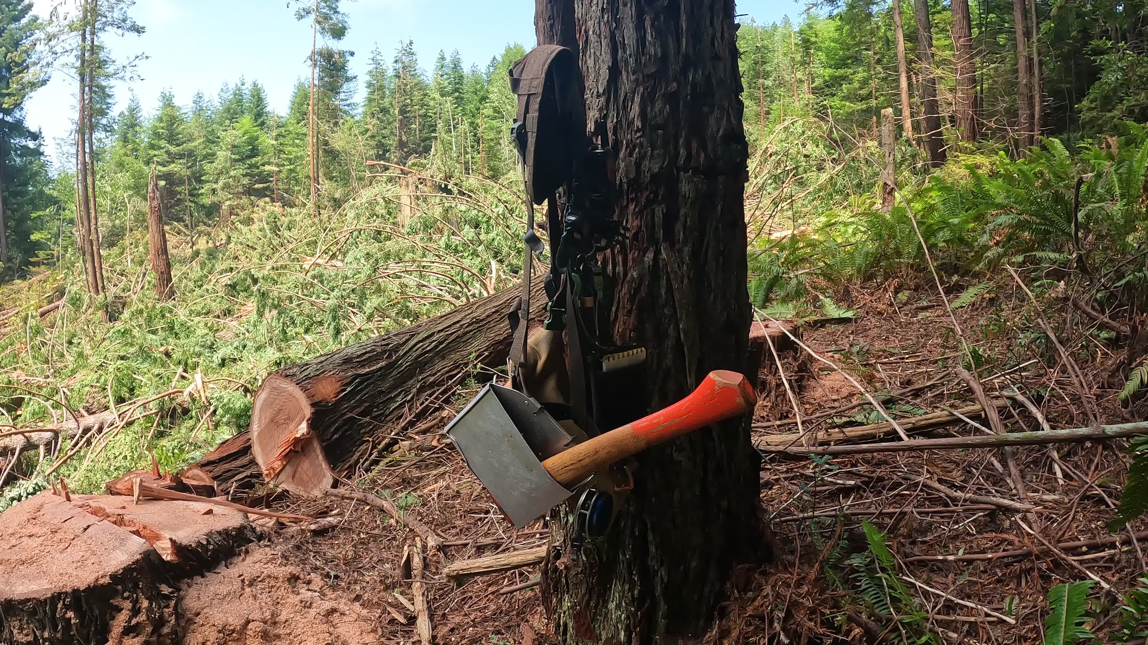 Shared post - The Timber Falling Harness...a very important part of ...