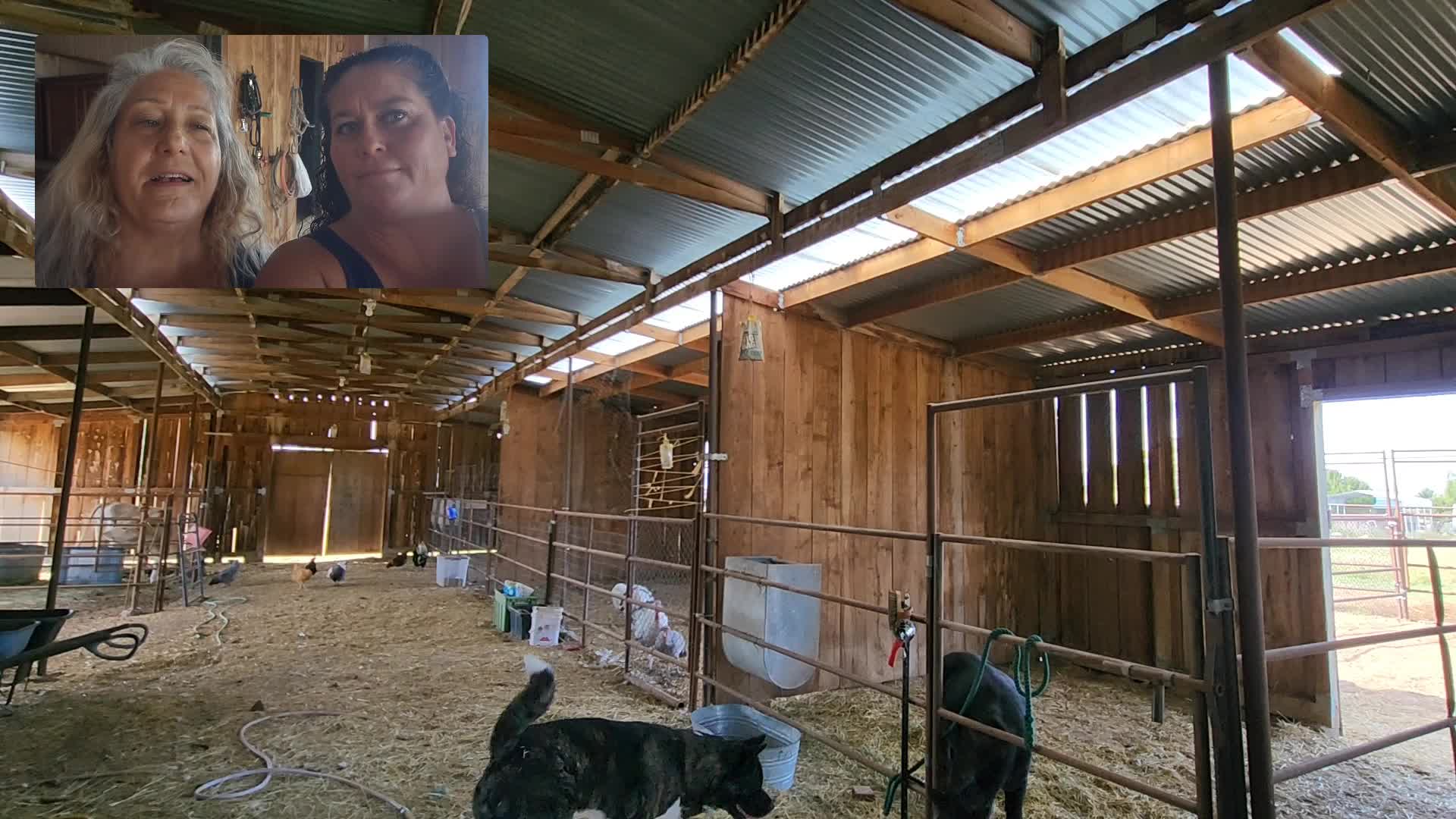 Shared post - Welcome to our ranch!