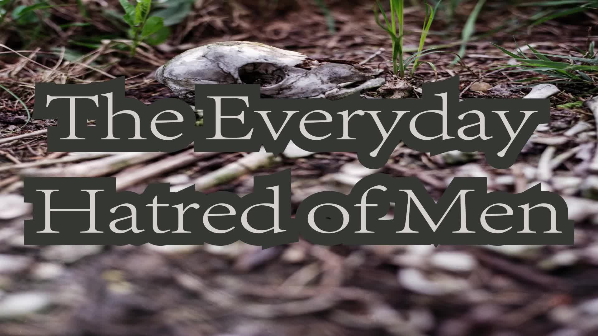 Shared post - The Everyday Hatred of Men, Part 2 -- Toxic Masculinity