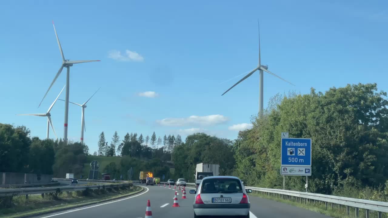 Shared post - Germany 🇩🇪 is Being Cut Down and Destroyed by Germans